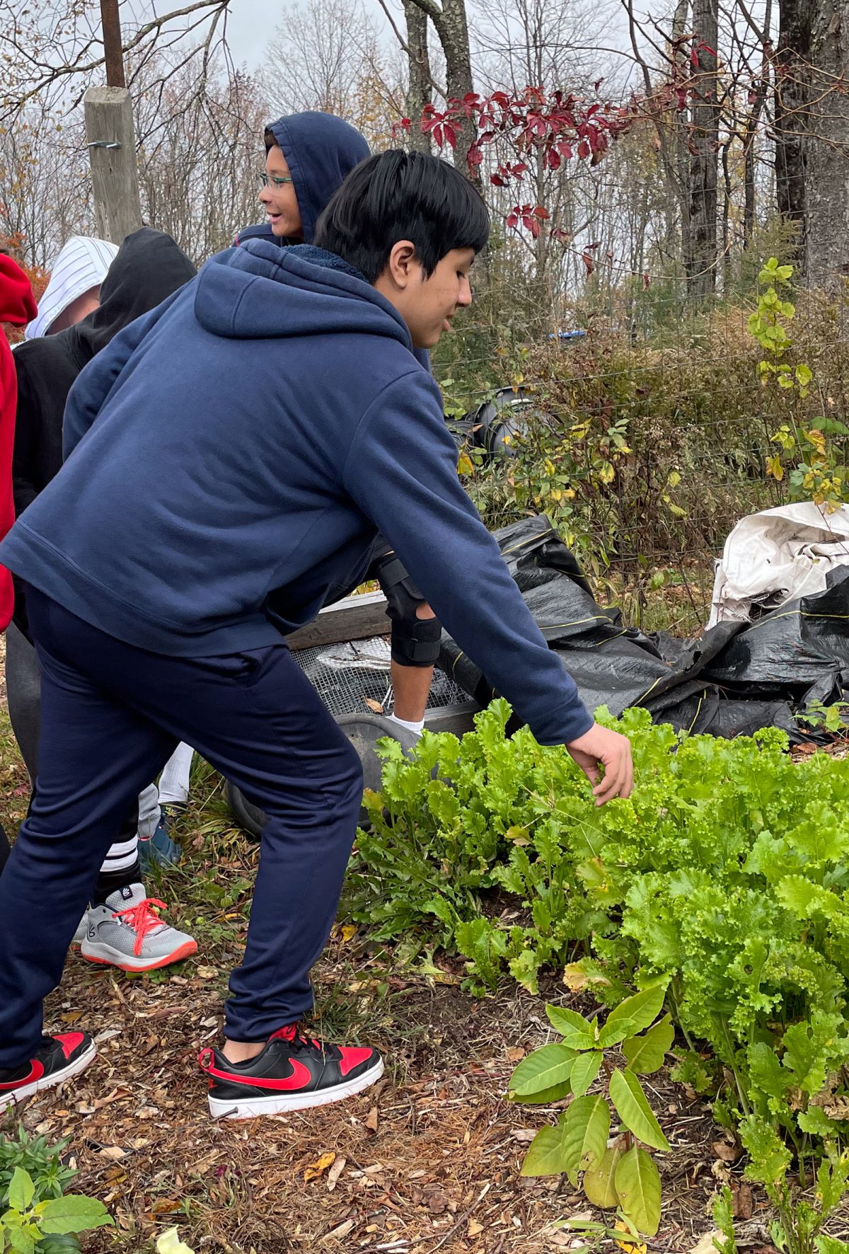 Seventh graders learn about local, healthy food - Liberty Central ...