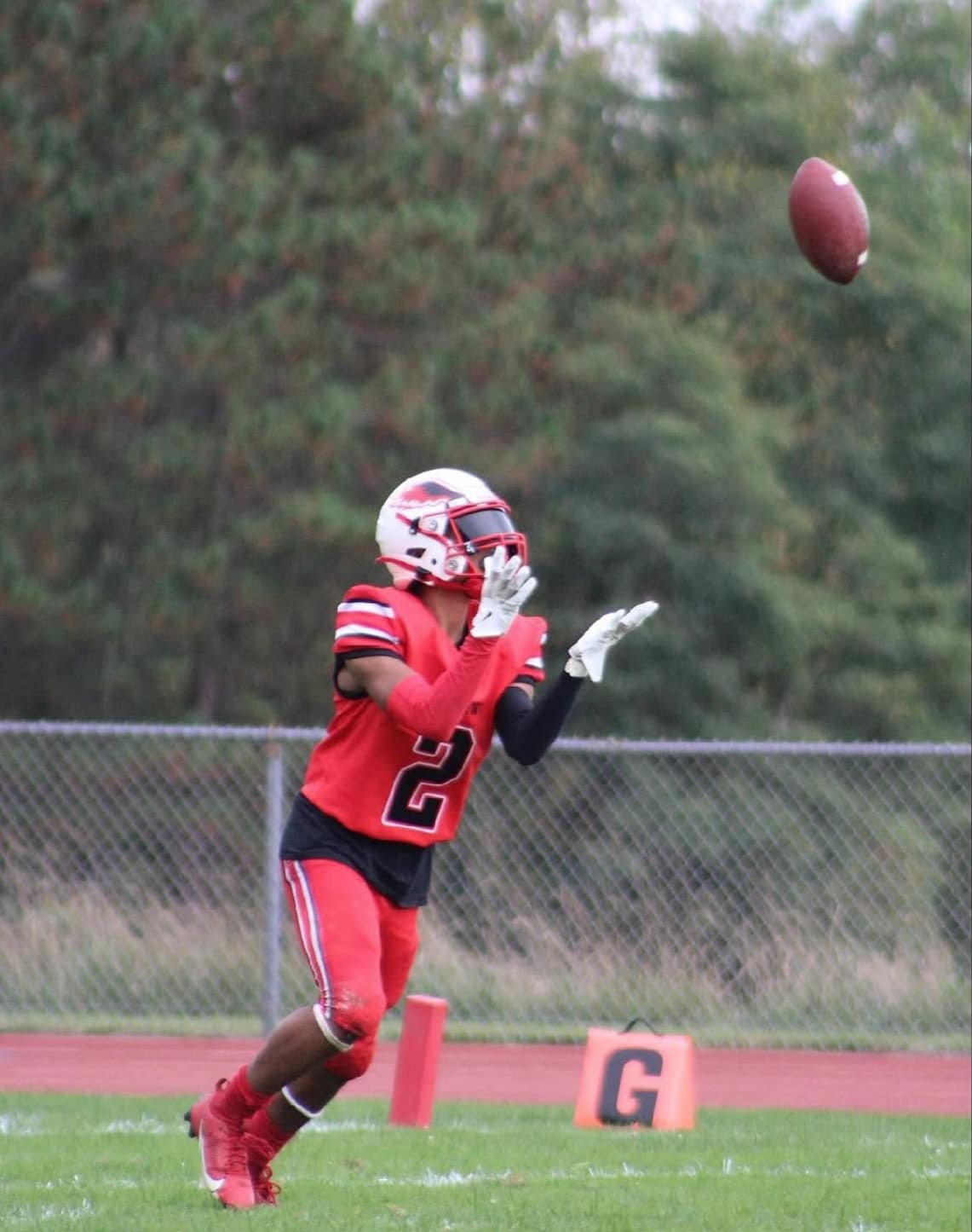 LHS senior earns Section 9 football honors - Liberty Central School ...